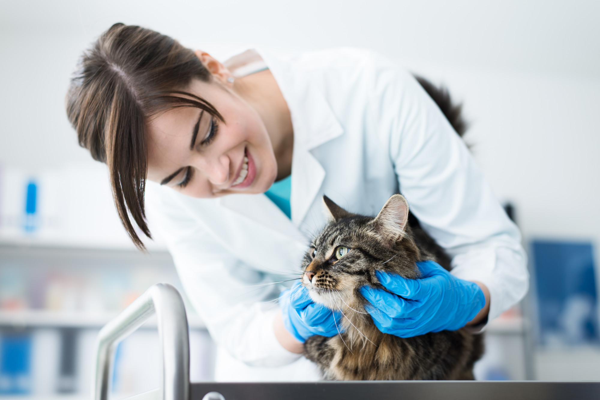10 Jobs That Allow You To Work With Animals Careerbright 10 Jobs That Allow You To Work With Animals Careerbright